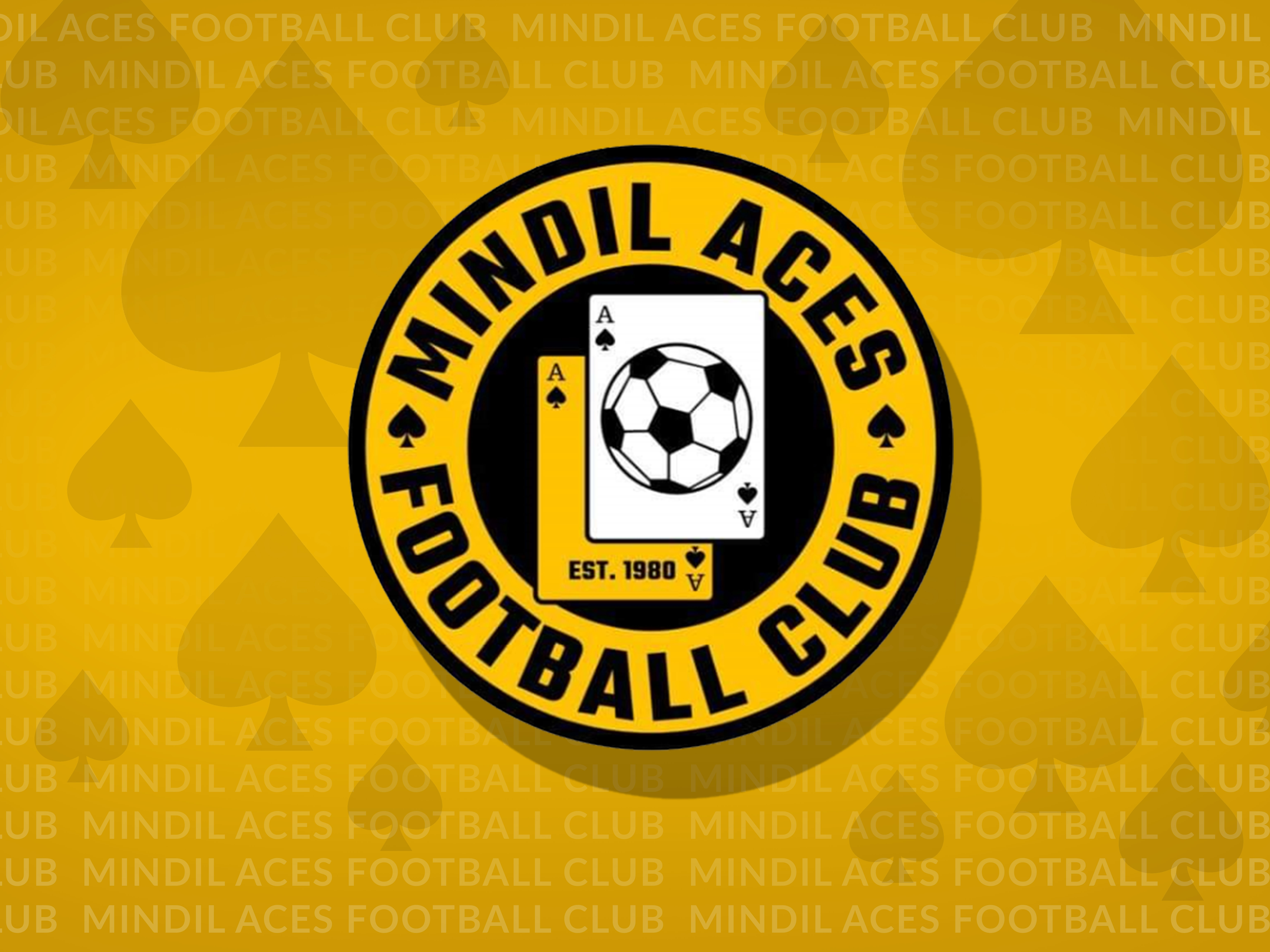 Football Northern Territory